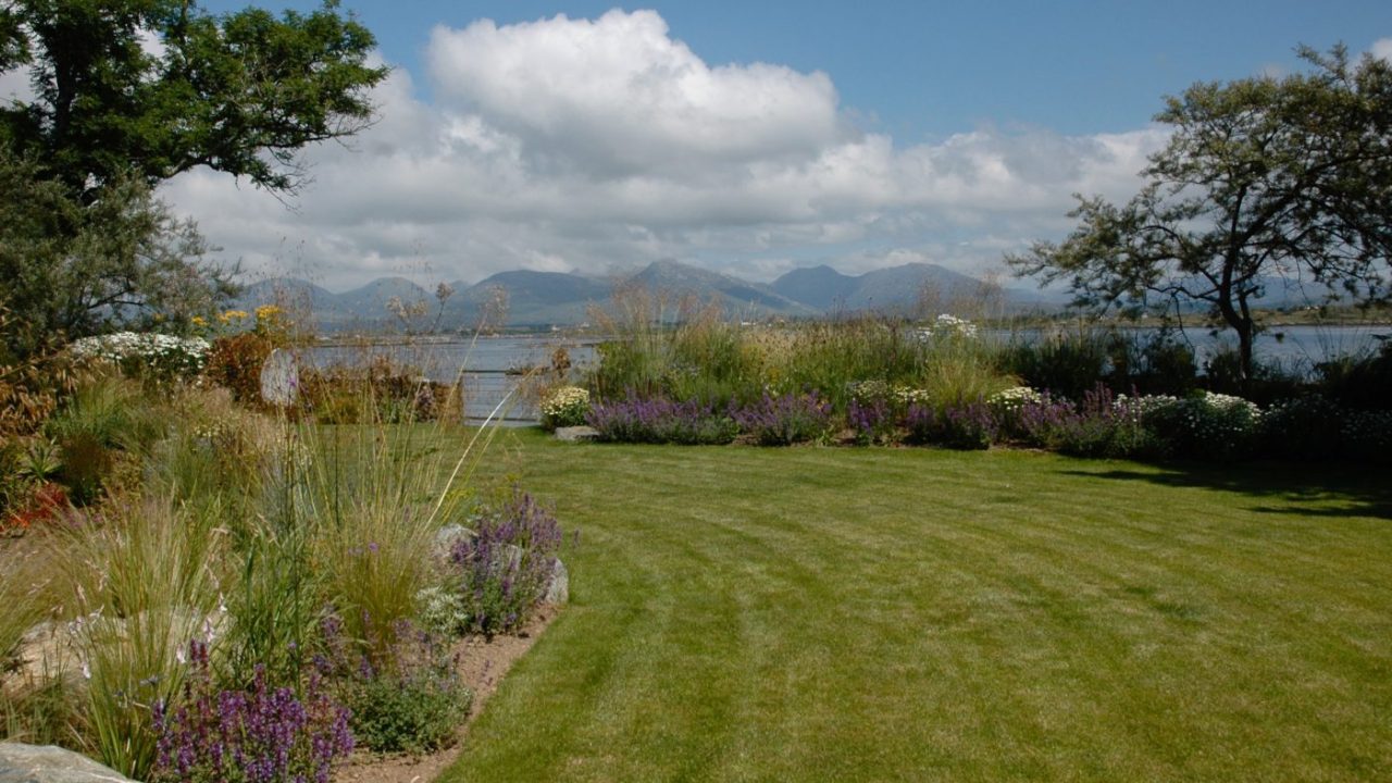 Exposed Coastal Planting - Mount Venus Nursery