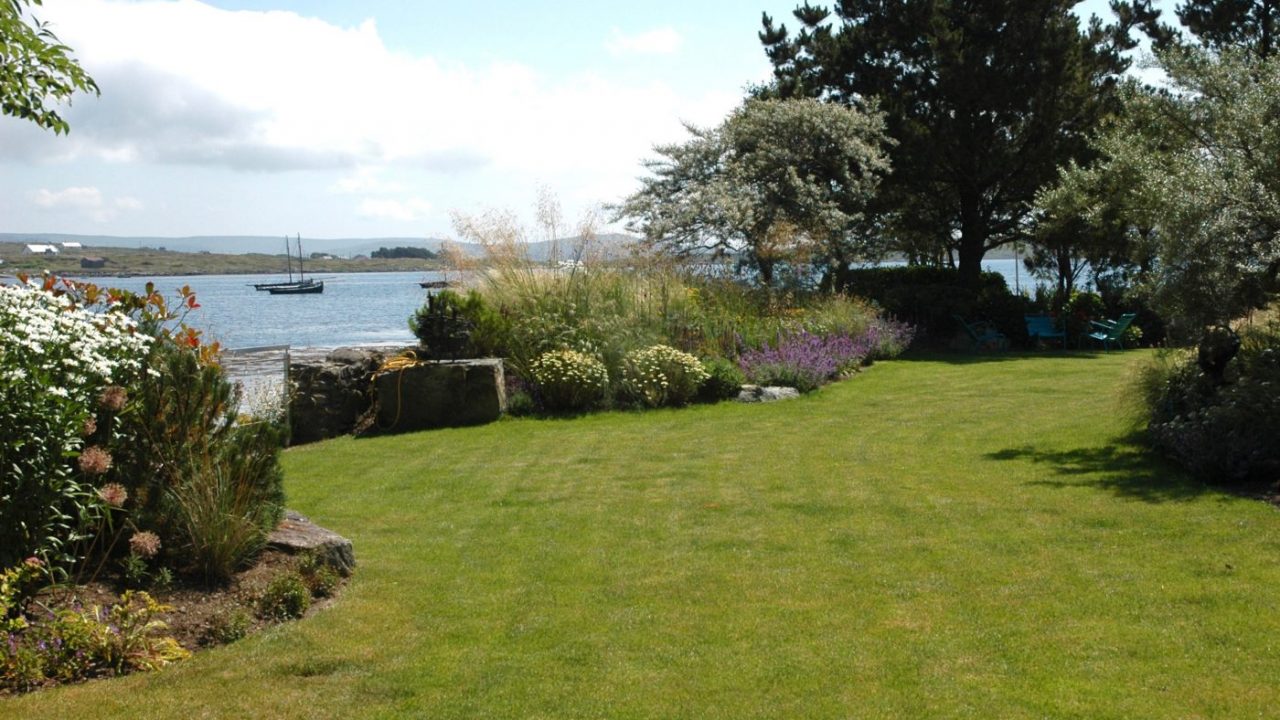 Exposed Coastal Planting - Mount Venus Nursery