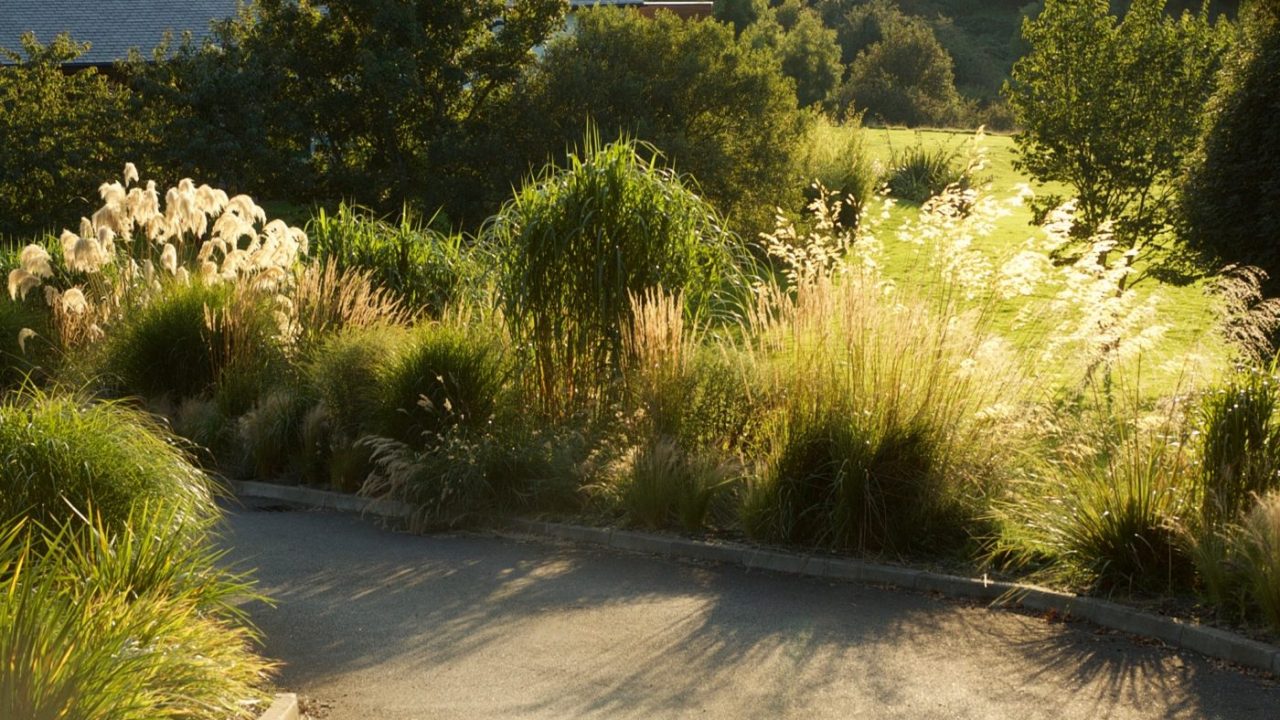 Planting - Mount Venus Nursery