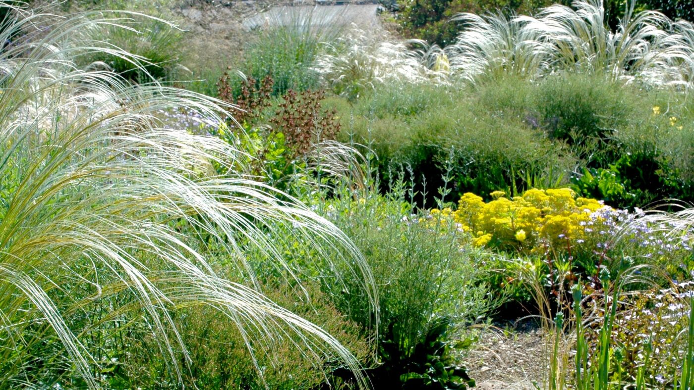 Planting - Mount Venus Nursery
